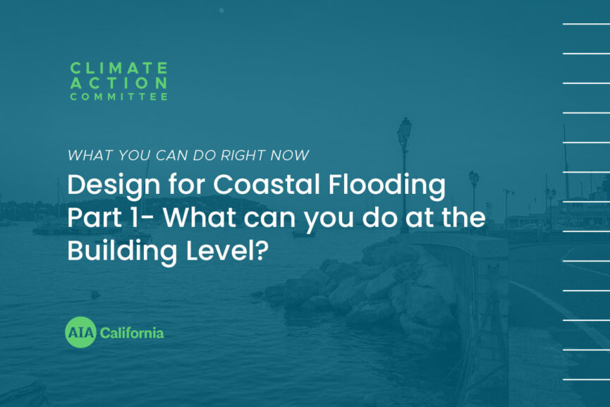 Design for Coastal Flooding Part 1- What Can You do at the Building ...